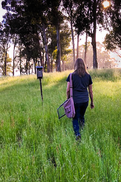 Nest Box Trail - California Bluebird Recovery Program